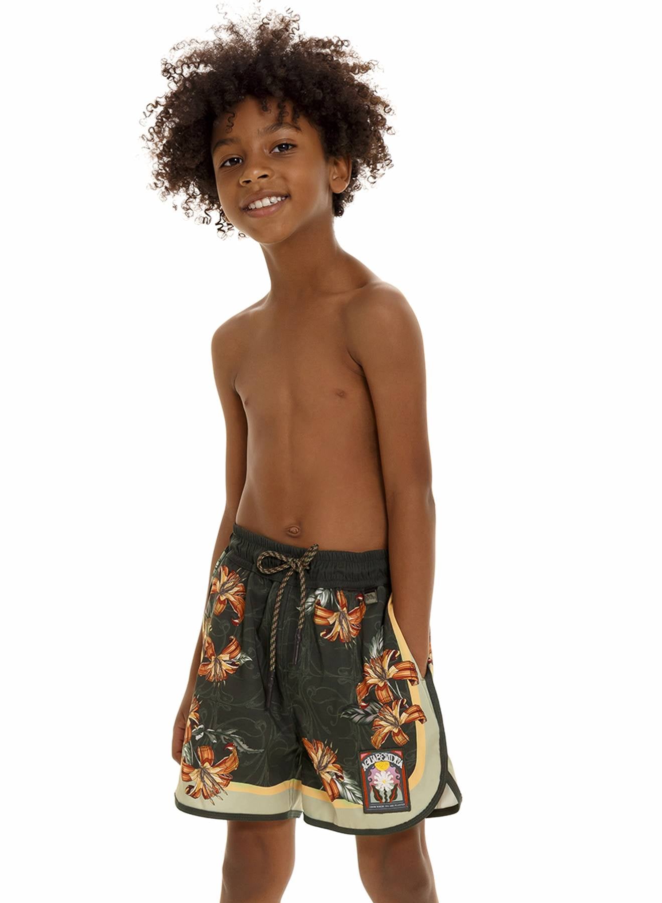 Tiago trunk vitreo